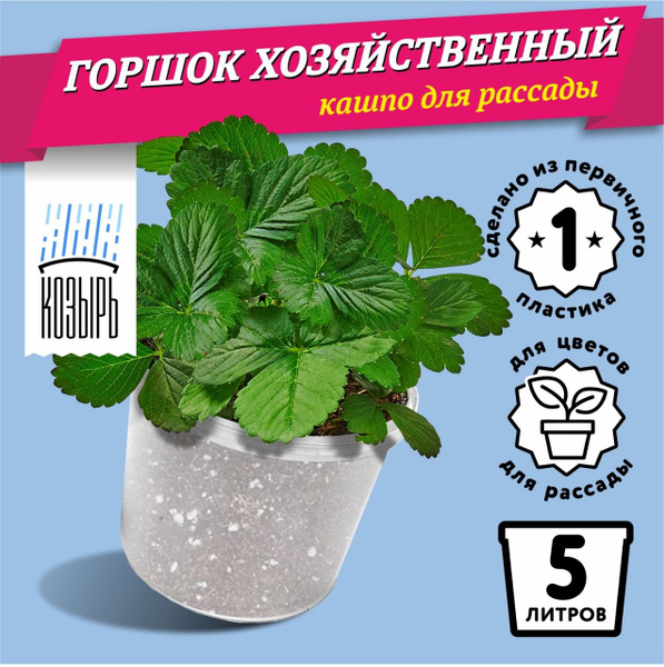 Горшок для рассады 5 литров, Кашпо для домашних цветов - купить с ...
