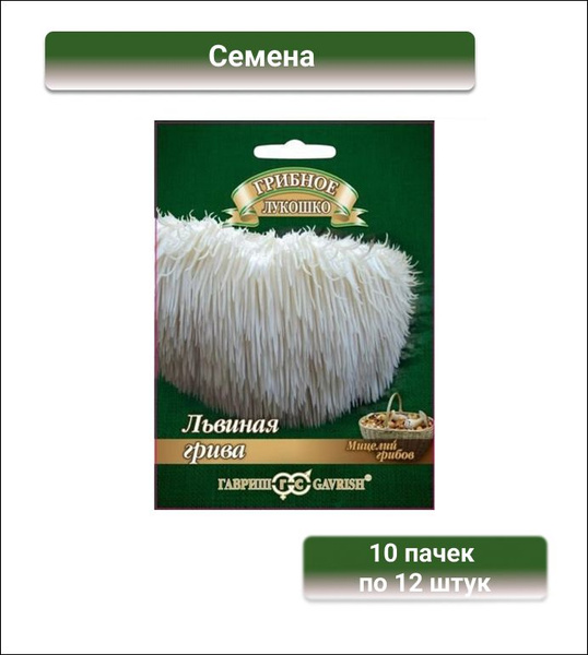 Гавриш Ямабуши Львиная грива на древесной палочке, большой пакет , 10 ...
