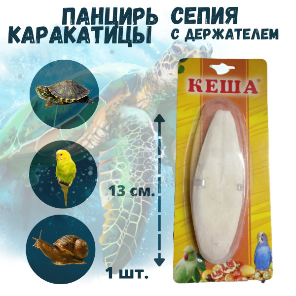 Панцирь каракатицы, минеральный камень для грызунов, сепия для улиток ...