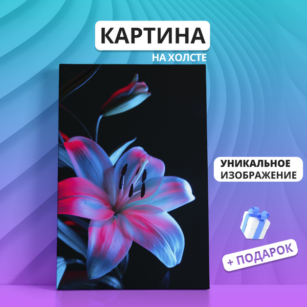 Картина на холсте Цветок красивый на черном фоне 40х60 - купить по ...