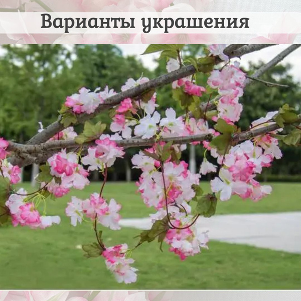 Купить Лиана цветочная декоративная Сакура Японская Вишня с листьями 1 штука 240 см по