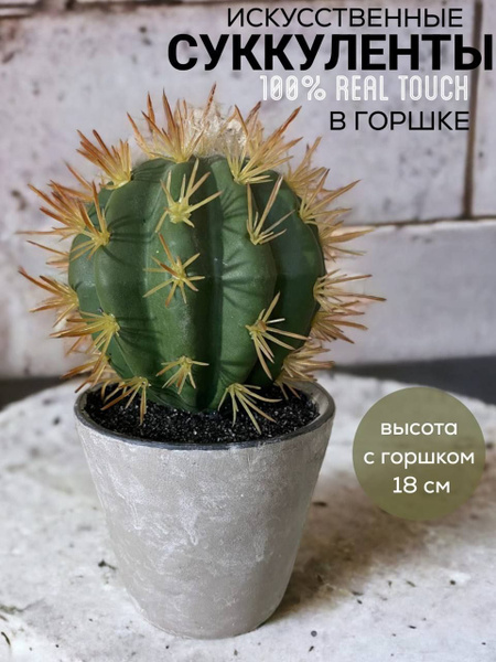 Купить Искусственные цветы, кактус суккулент в горшке для декора и ...