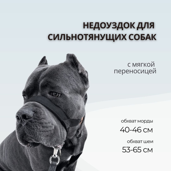Недоуздок (халти) для крупной собаки - купить с доставкой по выгодным ...