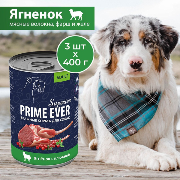 Влажный корм для собак Prime Ever Superior ягнёнок с клюквой, упаковка ...