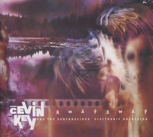 Key, Cevin (Skinny Puppy) - Xwayxway (Компакт диск) купить на OZON по ...