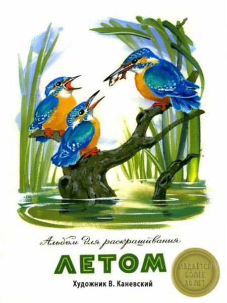 Летом. Альбом для раскрашивания купить на OZON по низкой цене (1278649062)