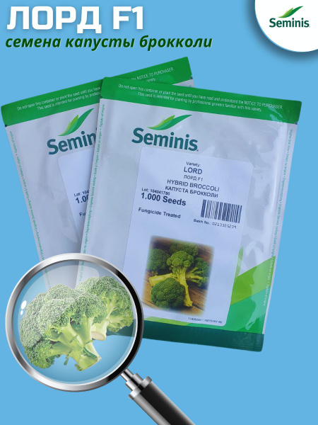 Капуста Seminis ЛОРД F1 - КАПУСТЫ БРОККОЛИ, 1 000 СЕМЯН, SEMINIS ...