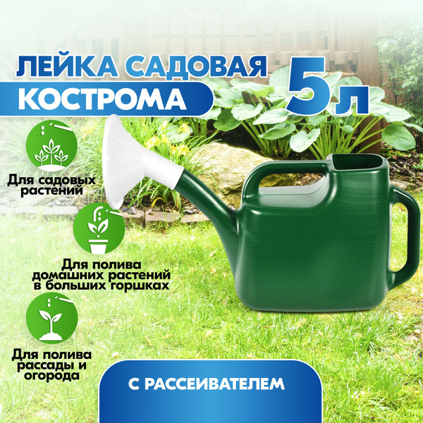 Характеристики Лейка Кострома садовая для полива цветов, растений и ...