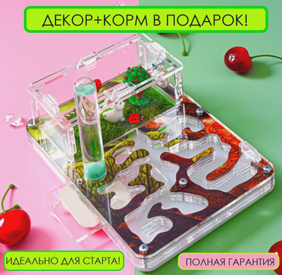 Для рыб и рептилий купить в интернет-магазине OZON.ru