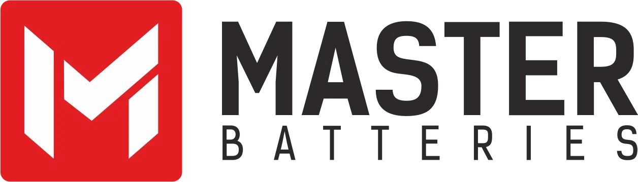 MASTER BATTERIES — купить товары MASTER BATTERIES в интернет-магазине OZON
