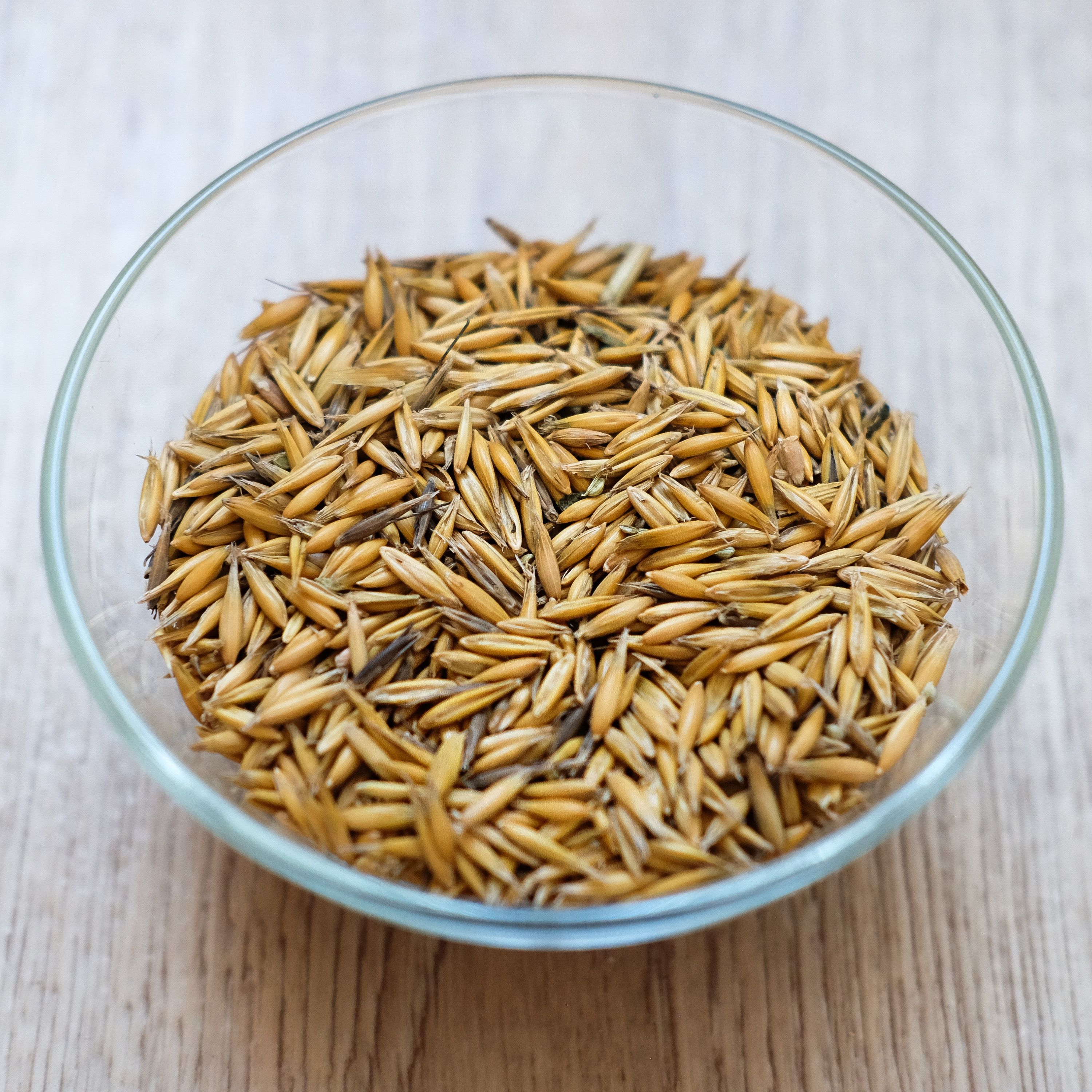 Посевной Овес Семена купить на OZON по низкой цене