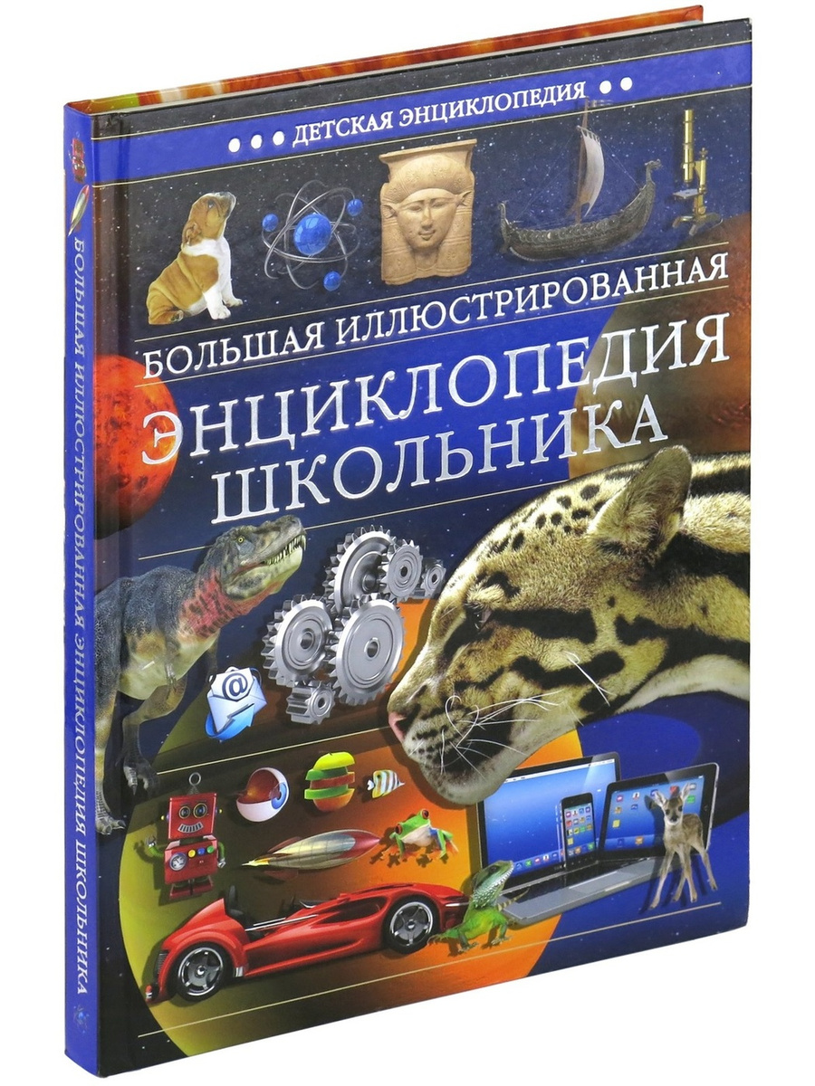 Книга "Большая иллюстрированная энциклопедия школьника" – купить книгу ...