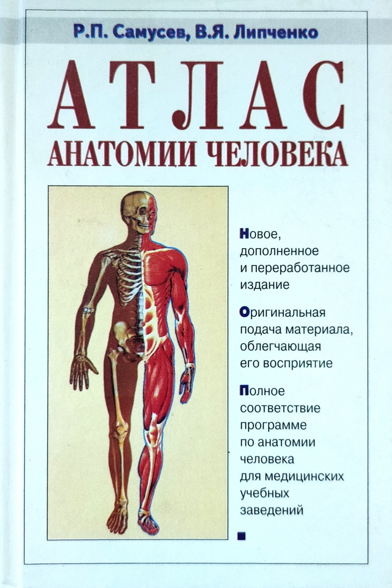 Книга "Атлас анатомии человека" – купить книгу ISBN 5-94666-032-2 с ...