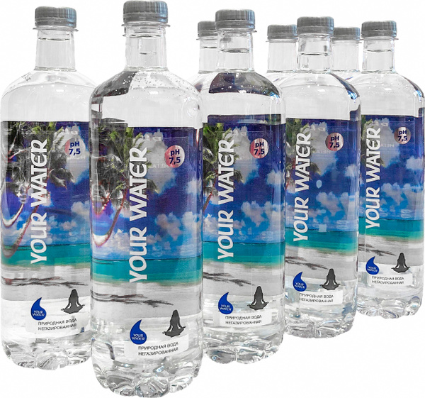 Питьевая негазированная вода Your Water Darida, объем 1 литр 9 шт ...