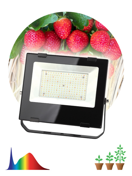 ЭРА FITO-100W-Ra90-LED ФИТО прожектор для цветения и плодоношения (10/ ...