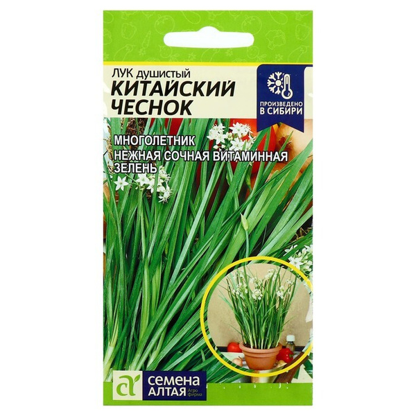 Лук Лук душистый Джусай, 40 шт., 3 шт._3_131 - купить по выгодным ценам ...