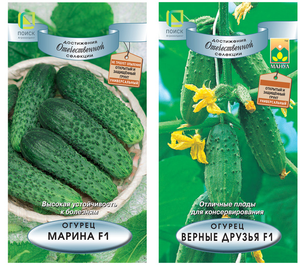 Огурцы ПОИСК Агрохолдинг Марина+Верные друзья - купить по выгодным ...