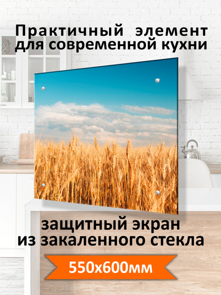 Защитный экран от брызг на плиту 600х550х4мм. Стеновая панель для кухни ...
