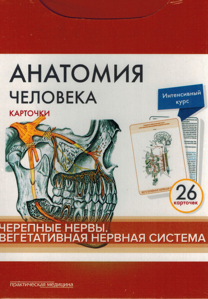 Анатомия человека: карточки (26 шт). Черепные нервы. Вегетативная ...