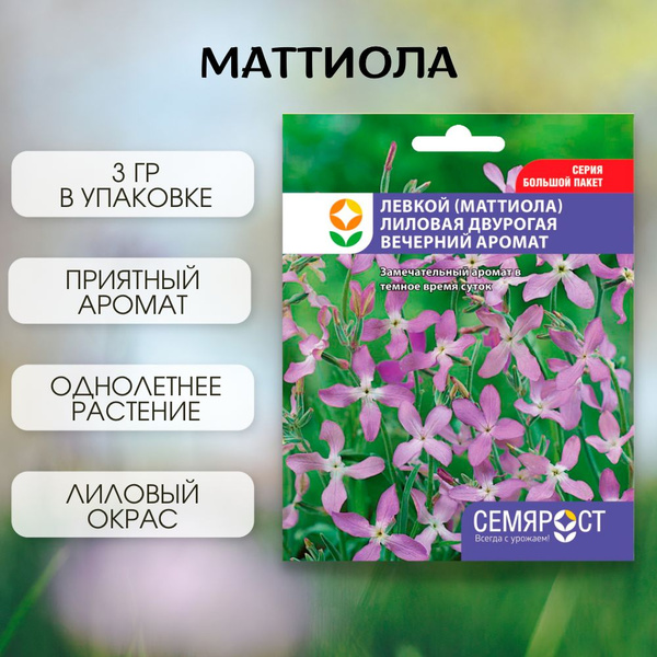 СЕМЯРОСТ Маттиола - купить по выгодным ценам в интернет-магазине OZON ...