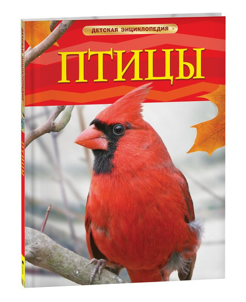 Птицы. Детская энциклопедия школьника 7 лет | Догерти Джеймс - купить с ...