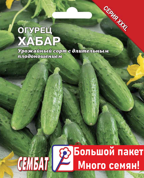 Огурцы Сембат Огурец Хабар - купить по выгодным ценам в интернет ...