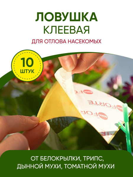 Клеевые ловушки-пластины от белокрылки, насекомых и других садовых ...