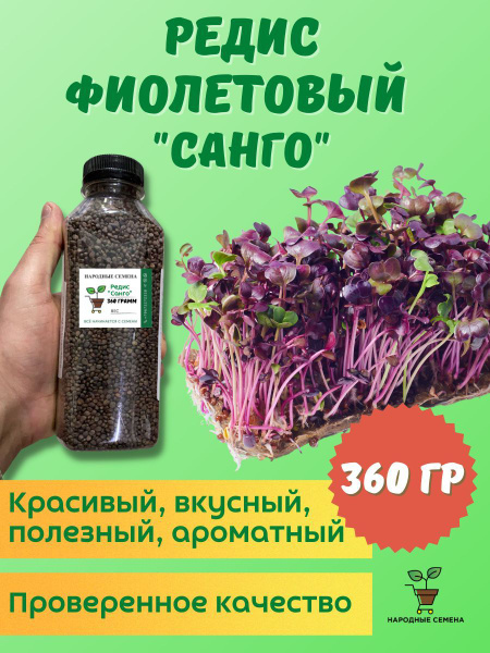 Редис НАРОДНЫЕ СЕМЕНА санго_фиолетовый - купить по выгодным ценам в ...
