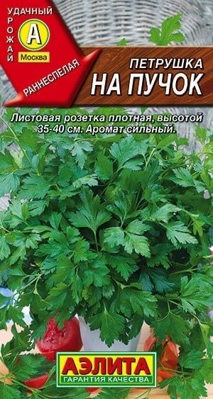 Петрушка Аэлита Петрушка Мир семян_Петрушка листовая На пучок - купить ...