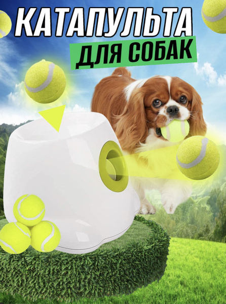 Катапульта мячей для собак - купить с доставкой по выгодным ценам в ...