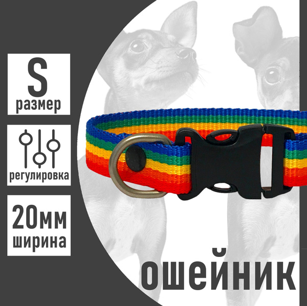 Ошейник для собак и кошек Petsare, обхват шеи 25 - 35 см, нейлоновый ...