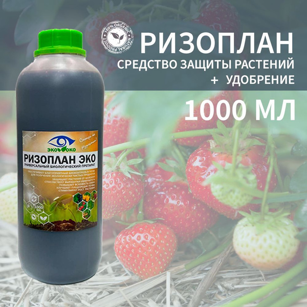 Ризоплан - удобрение, 1000 мл - купить с доставкой по выгодным ценам в ...