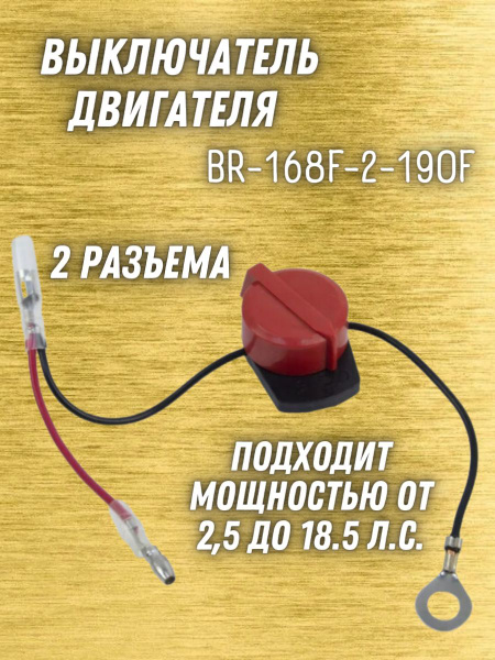 Выключатель двигателя BR-168F-2-190F 2 разъема (BR202P-465P) (подходит ...