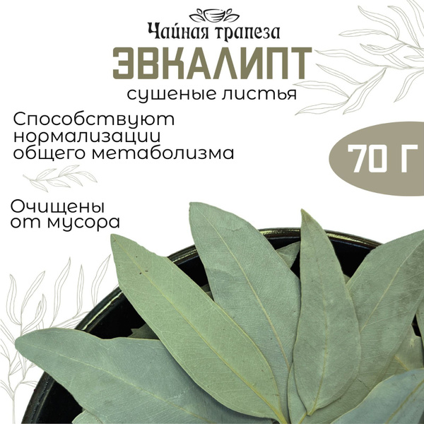 Эвкалипт сушеный лист (Дерево Чудес) Чайная Трапеза, 70 гр - купить с ...