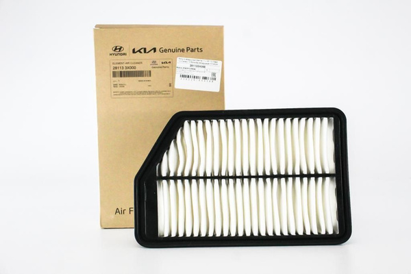 Фильтр воздушный Hyundai-KIA Фильтр 281131R100 - купить по выгодным ...