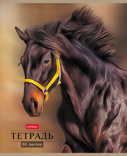 Тетрадь Hatber 80 листов, формата А5+, в одну линию, на скобе, 65 г/кв. м, 5 штук/5 дизайнов ...