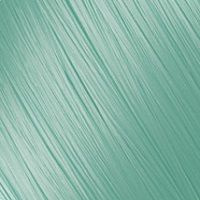Wild color Direct Color Вайлд Колор Биоламинирование для волос ...