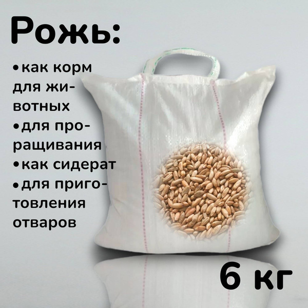 Рожь озимая 6 кг купить на OZON по низкой цене (1356784866)