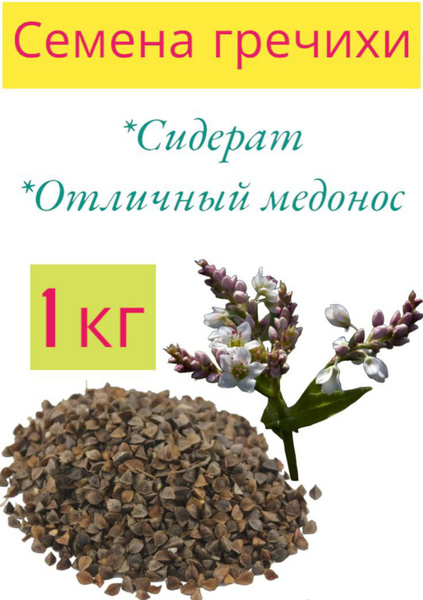 Гречиха 1 кг сидерат медонос - купить с доставкой по выгодным ценам в ...