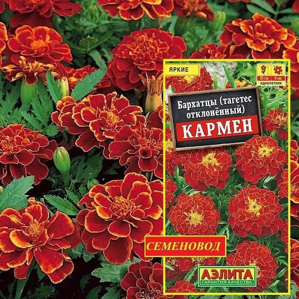 Бархатцы Аэлита Цветы - купить по выгодным ценам в интернет-магазине ...
