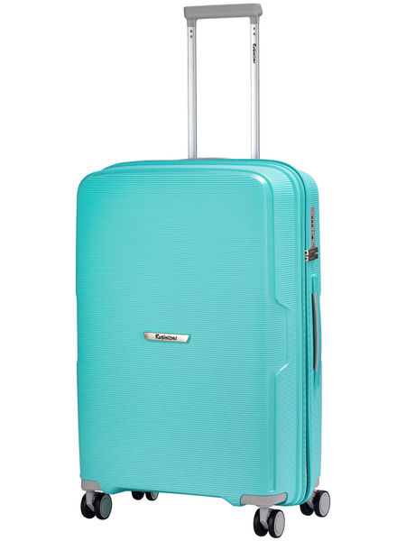 Robinzon Чемодан Полипропилен 67 см 70 л купить на OZON по низкой цене (1311748768)