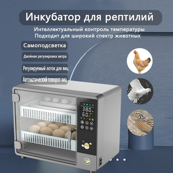Инкубатор для рептилий/Автоматическое переворачивание / для инкубации ...