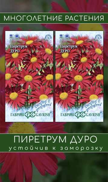Пиретрум Гавриш пиретрум - купить по выгодным ценам в интернет-магазине ...