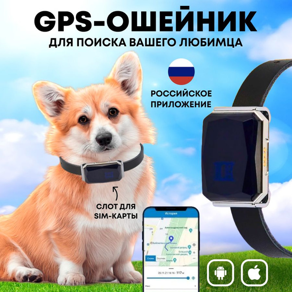 GPS-ошейник для собак - купить с доставкой по выгодным ценам в интернет ...
