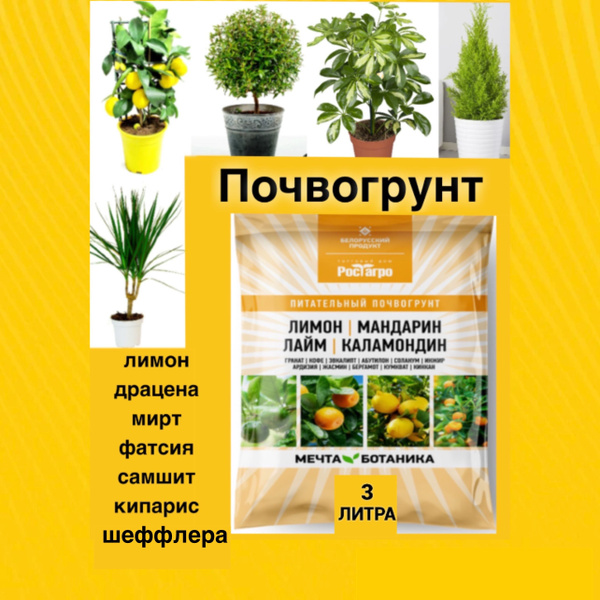 Грунт для лимона и цитрусовых - купить по низкой цене в интернет ...