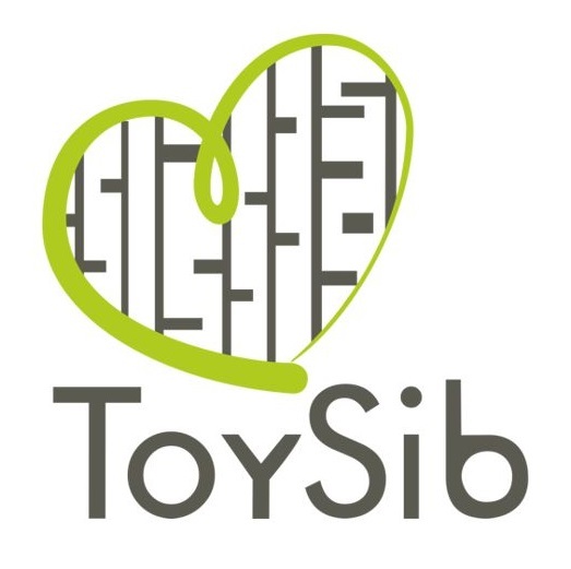 ToySib — купить товары ToySib в интернет-магазине OZON