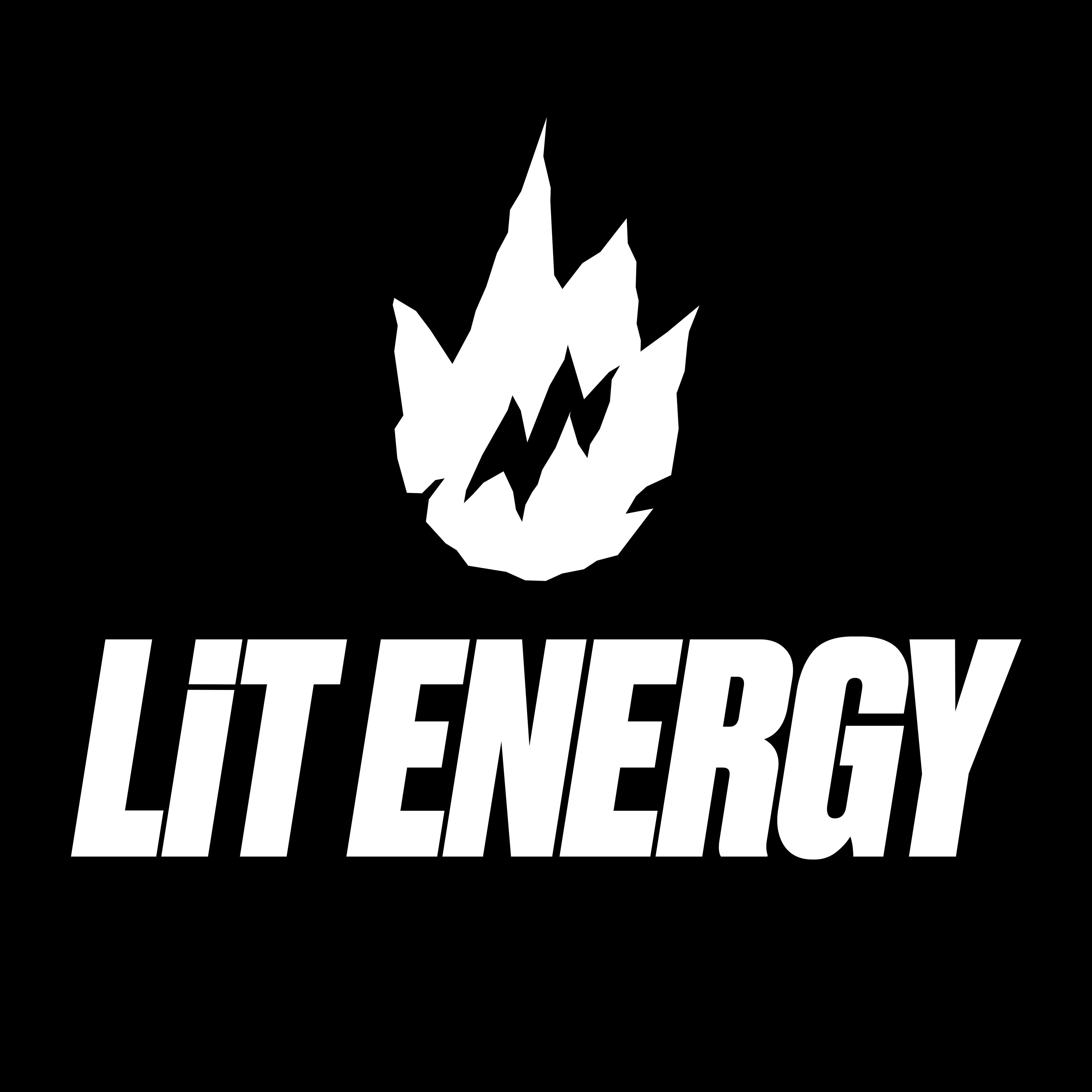 LIT ENERGY — купить товары LIT ENERGY в интернет-магазине OZON