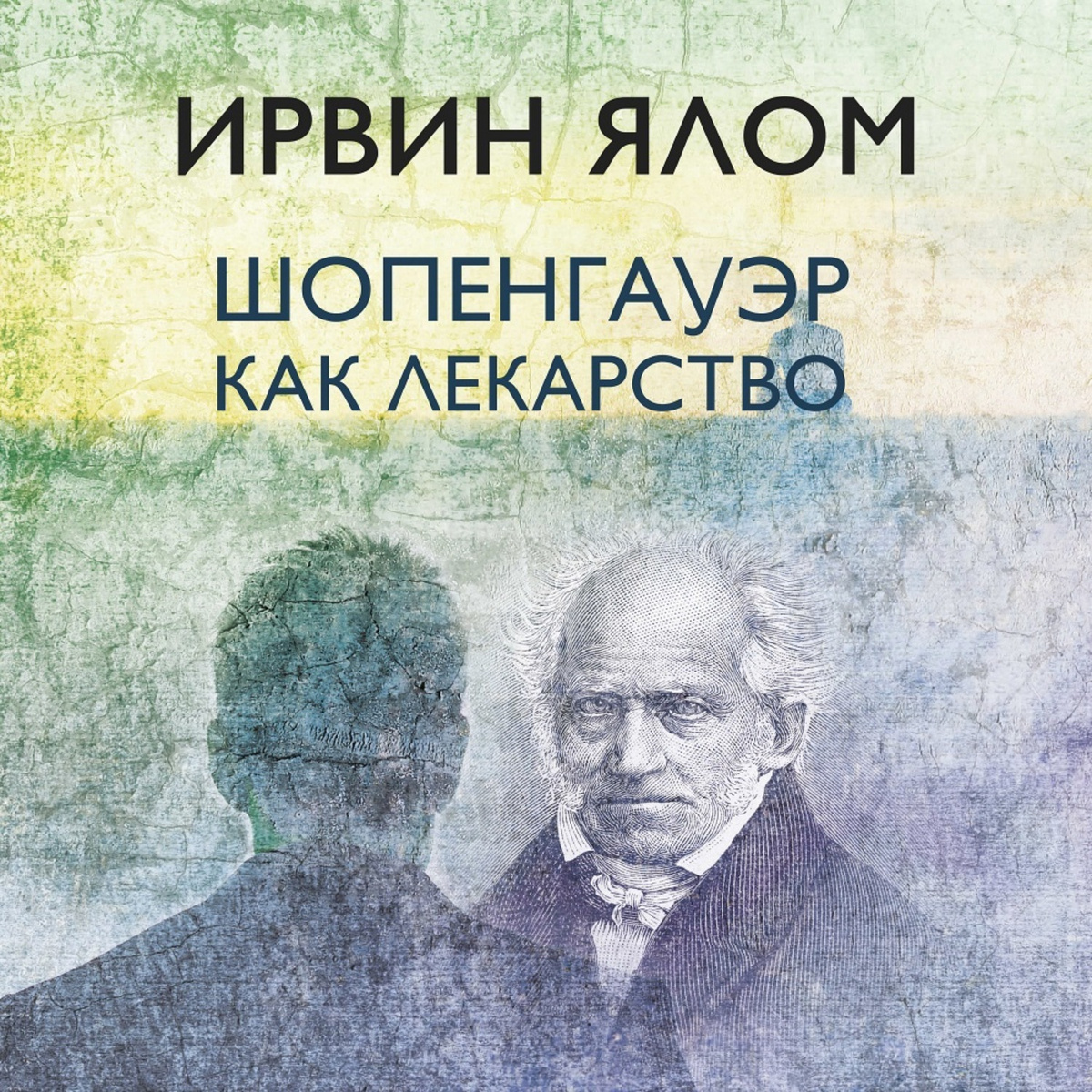 Цифровая аудиокнига "Шопенгауэр как лекарство" Ялом Ирвин Дэвид ...