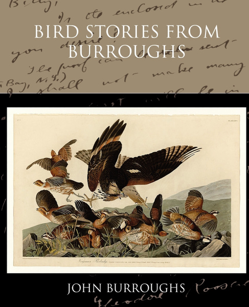 Bird Stories from Burroughs - купить с доставкой по выгодным ценам в ...