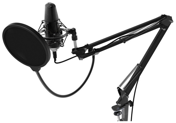 Микрофон Ritmix RDM-169 купить на OZON по низкой цене (1522359364)